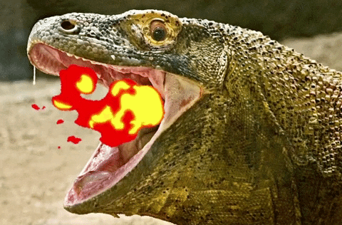 Komodo Dragon Dracarys Fire Rage Angry GIF by Los Angeles Zoo and ...