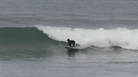 Surfing Queensland GIFs on GIPHY - Be Animated