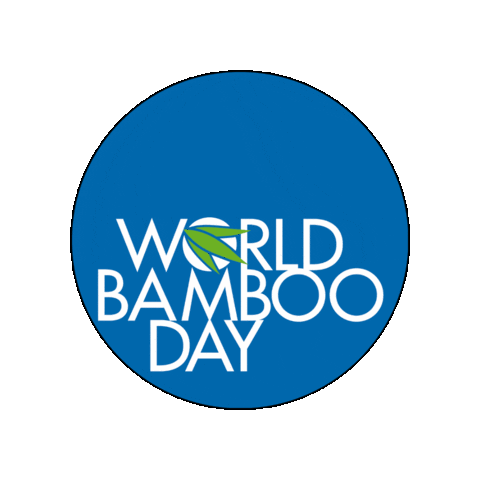 nuestro bambu GIFs on GIPHY - Be Animated