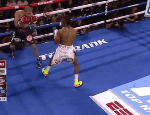 Top Rank Boxing GIF - Find & Share on GIPHY