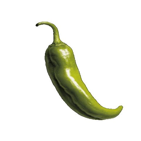 505 Southwestern GIFs on GIPHY - Be Animated