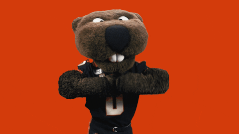 Benny Beaver by Oregon State University | GIPHY
