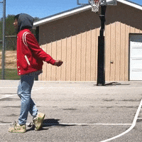 Humble GIFs - Find & Share on GIPHY