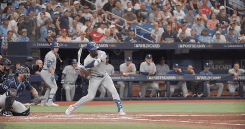 These MLB GIFs are Wild! by Sports GIFs | GIPHY