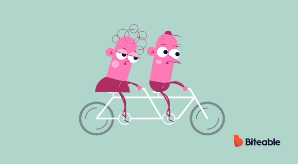 Tandem Bicycle GIFs - Get the best GIF on GIPHY