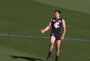 AFL - 2024 - AFL ROUND 20 | Page 6 | BigFooty Forum