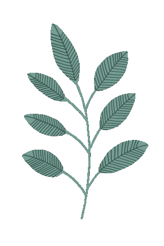 Flower Sticker for iOS & Android | GIPHY