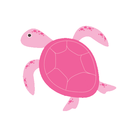 Pink Turtle Clipart