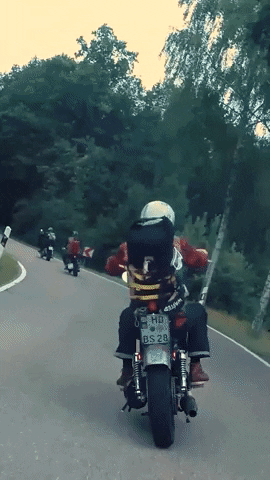 Harley Davidson Sportster GIFs - Get the best GIF on GIPHY