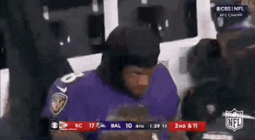 Baltimore Ravens GIFs on GIPHY - Be Animated