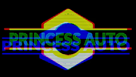 Princess-auto GIFs - Get the best GIF on GIPHY