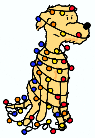 Light String GIFs - Get the best GIF on GIPHY