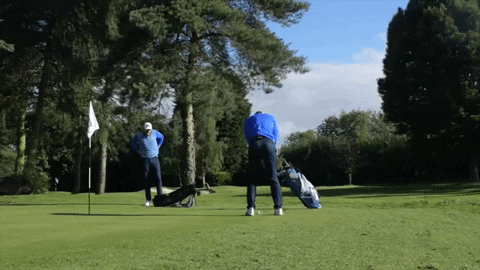 Birdie Putting GIF by Me and My Golf - Find & Share on GIPHY