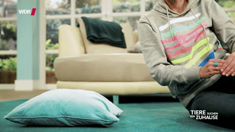 Schlafen Gehen GIFs - Get the best GIF on GIPHY
