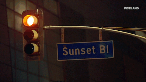 16Th December GIFs - Get the best GIF on GIPHY