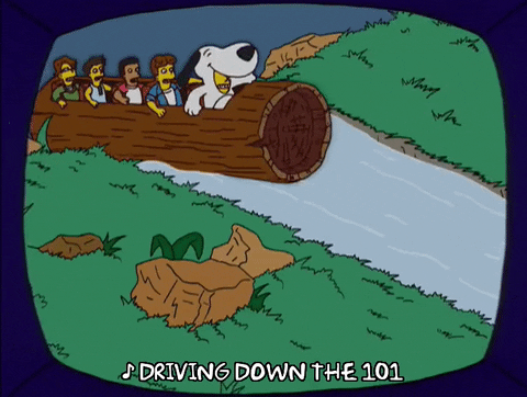 Log Flume GIFs - Get the best GIF on GIPHY