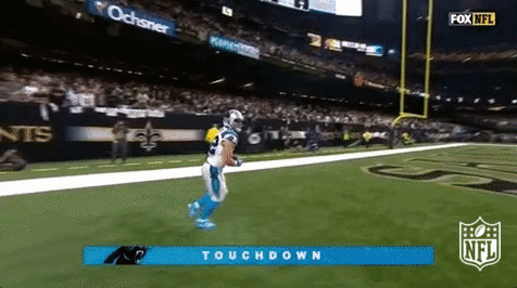 Carolina Panthers Football GIF by NFL - Find & Share on GIPHY