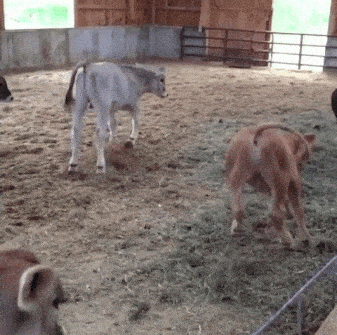 Happy Modern Farmer GIF - Find & Share on GIPHY