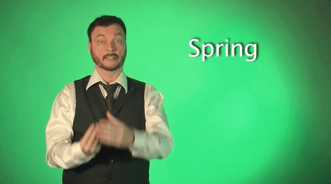 Sign Language Spring GIF by Sign with Robert - Find & Share on GIPHY