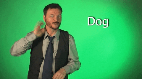 Sign Language Dog GIF by Sign with Robert - Find & Share on GIPHY