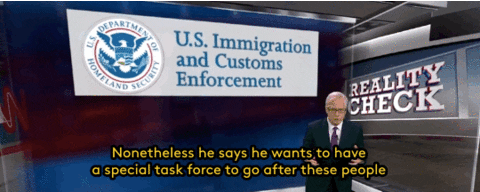 Immigration-and-customs-enforcement GIFs - Get the best GIF on GIPHY