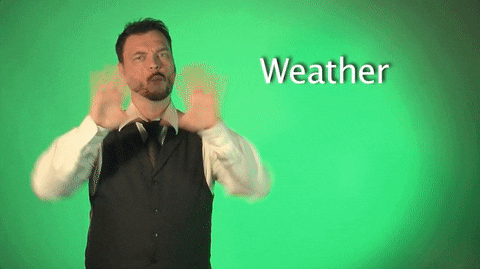 Giphy – Robert DeMayo