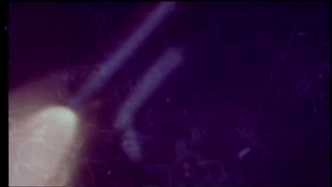 Distributive-propulsion GIFs - Get the best GIF on GIPHY