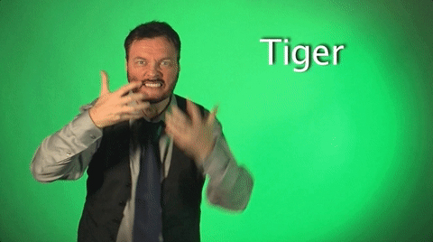 Sign Language Tiger GIF by Sign with Robert - Find & Share on GIPHY