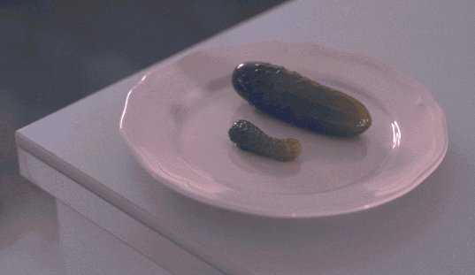 Pickles Morph GIF by ewanjonesmorris - Find & Share on GIPHY