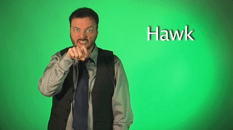 Sign Language Hawk GIF by Sign with Robert - Find & Share on GIPHY