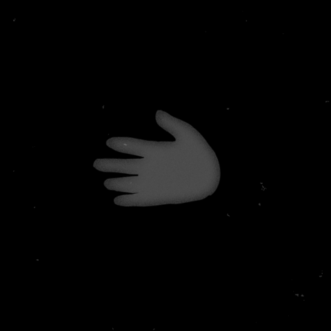 Handing Pen GIFs - Find & Share on GIPHY