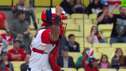 Puerto Rico Wbc GIF by MLB - Find & Share on GIPHY