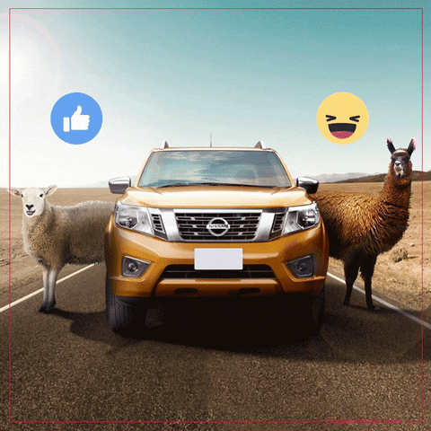 Nissan Frontier GIFs - Get the best GIF on GIPHY