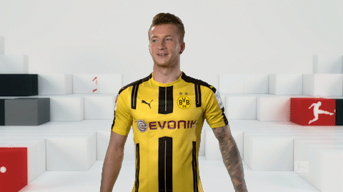 Borussia Dortmund GIF by Bundesliga - Find & Share on GIPHY