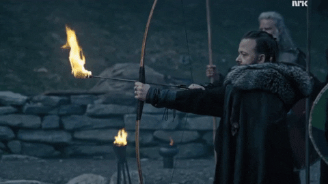 Vikingane GIFs - Find & Share on GIPHY