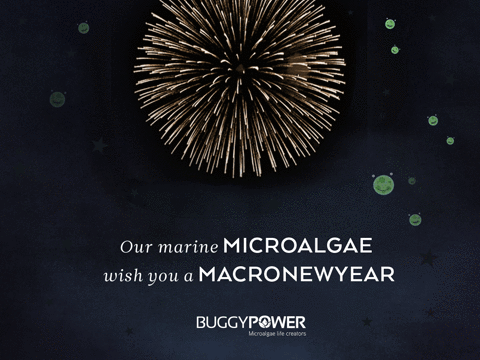 Microalgae GIFs - Get the best GIF on GIPHY