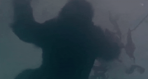 Sea Ape GIFs - Get the best GIF on GIPHY