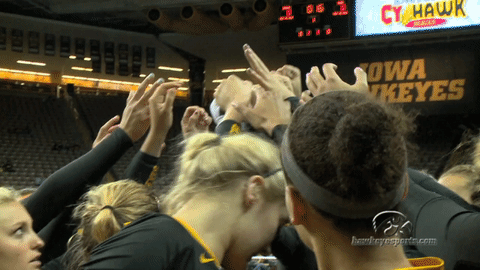 Volleyball Vb GIF by University of Iowa Hawkeyes Athletics - Find ...