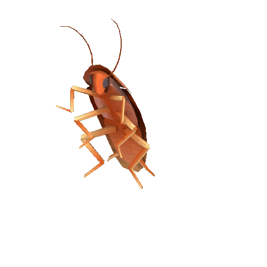 Bug Rotate Sticker by jjjjjohn for iOS & Android | GIPHY