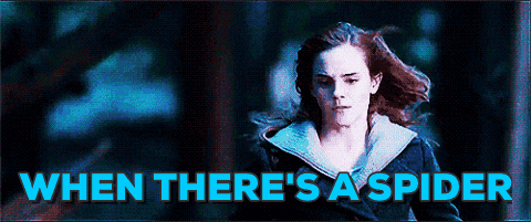 Box Running GIFs - Get the best GIF on GIPHY