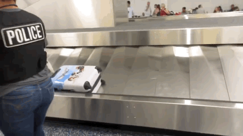 Baggage Claim Dog GIF by Emo Nite - Find & Share on GIPHY
