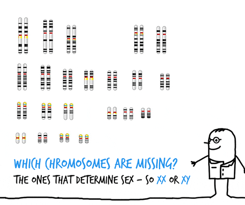 Somatic Cells GIFs - Find & Share on GIPHY