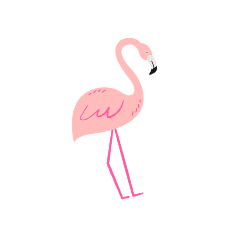 Pink Flamingo Sticker by neogardencatering for iOS & Android | GIPHY