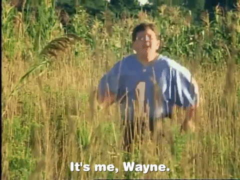 Rice Paddy GIFs - Get the best GIF on GIPHY