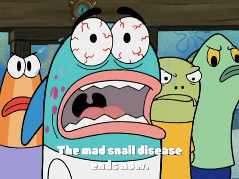 Spongebob Mad Snail Disease