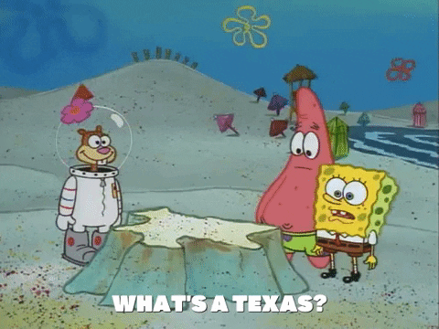 Season 1 Texas GIF by SpongeBob SquarePants - Find & Share on GIPHY