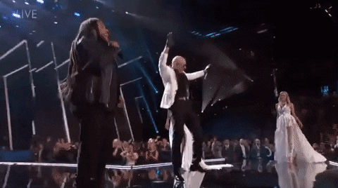 Pitbull GIF by Miss USA - Find & Share on GIPHY