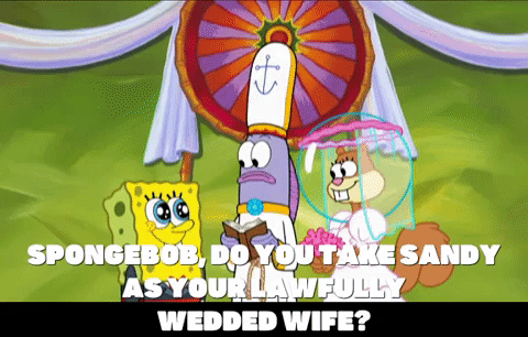Sandy And Spongebob Married