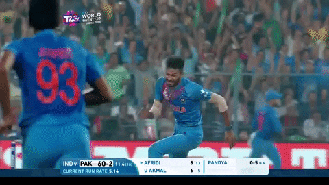 Wt20 GIFs - Get the best GIF on GIPHY