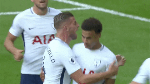 Tottenham Hotspur GIF - Find & Share on GIPHY